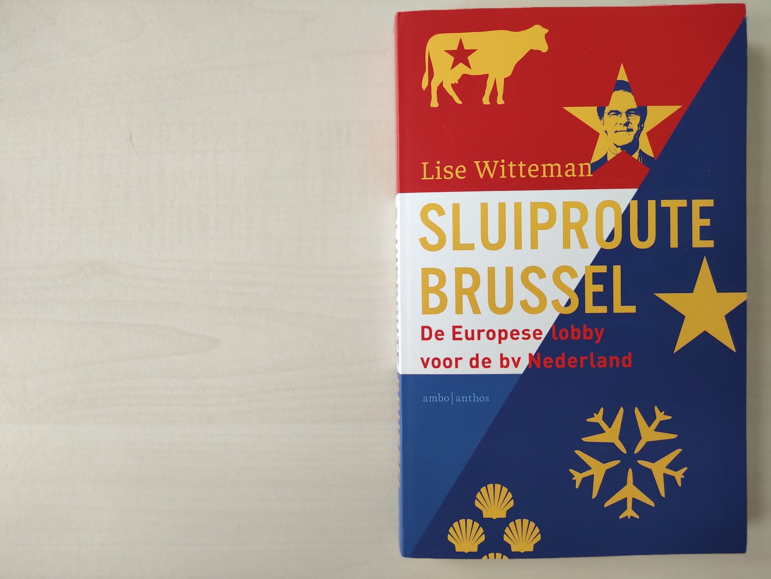 Online Boekenlunch met Lise Witteman! - Public Affairs Academie